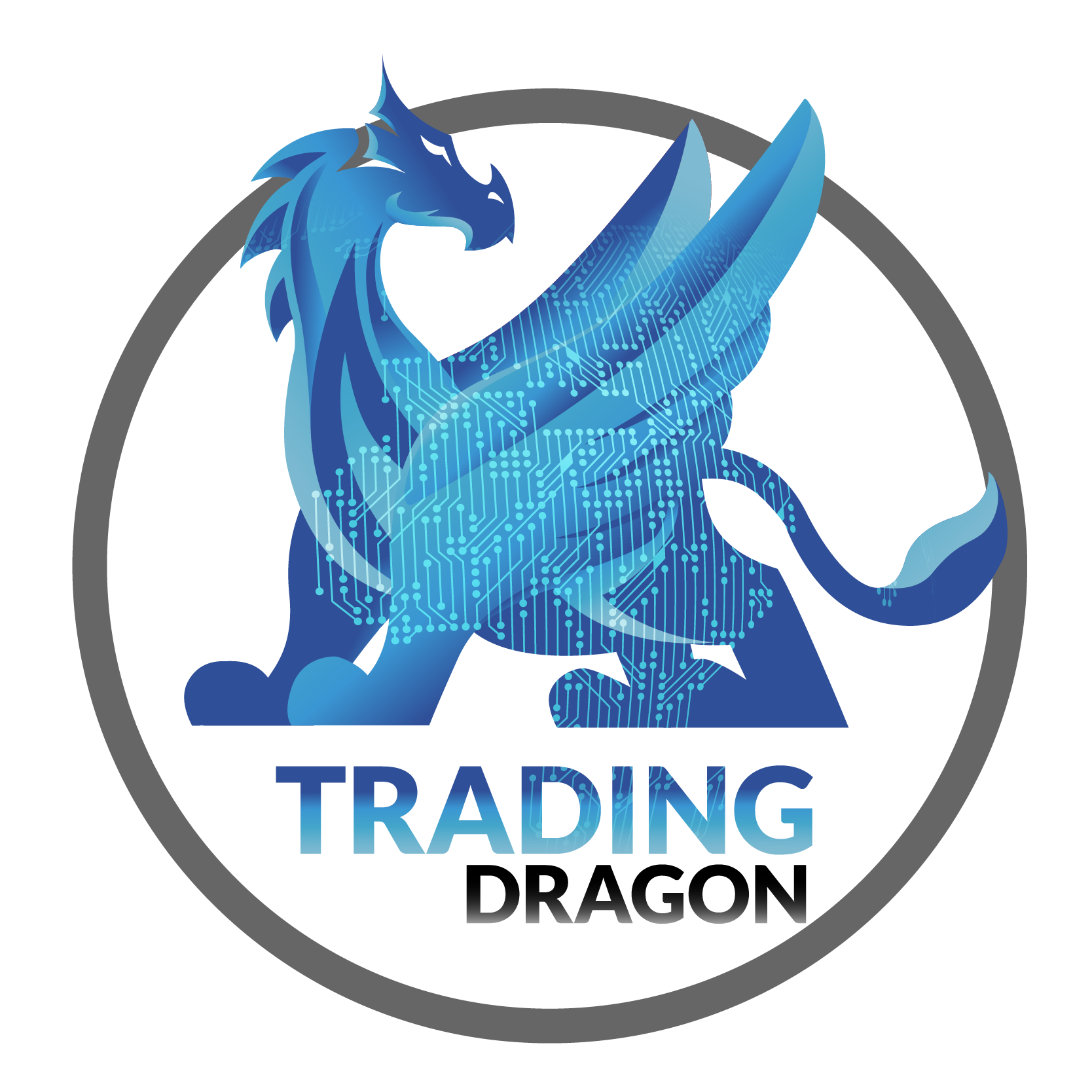 Trading Dragon Futures – Aprenda a operar el mercado de futuros con los ...